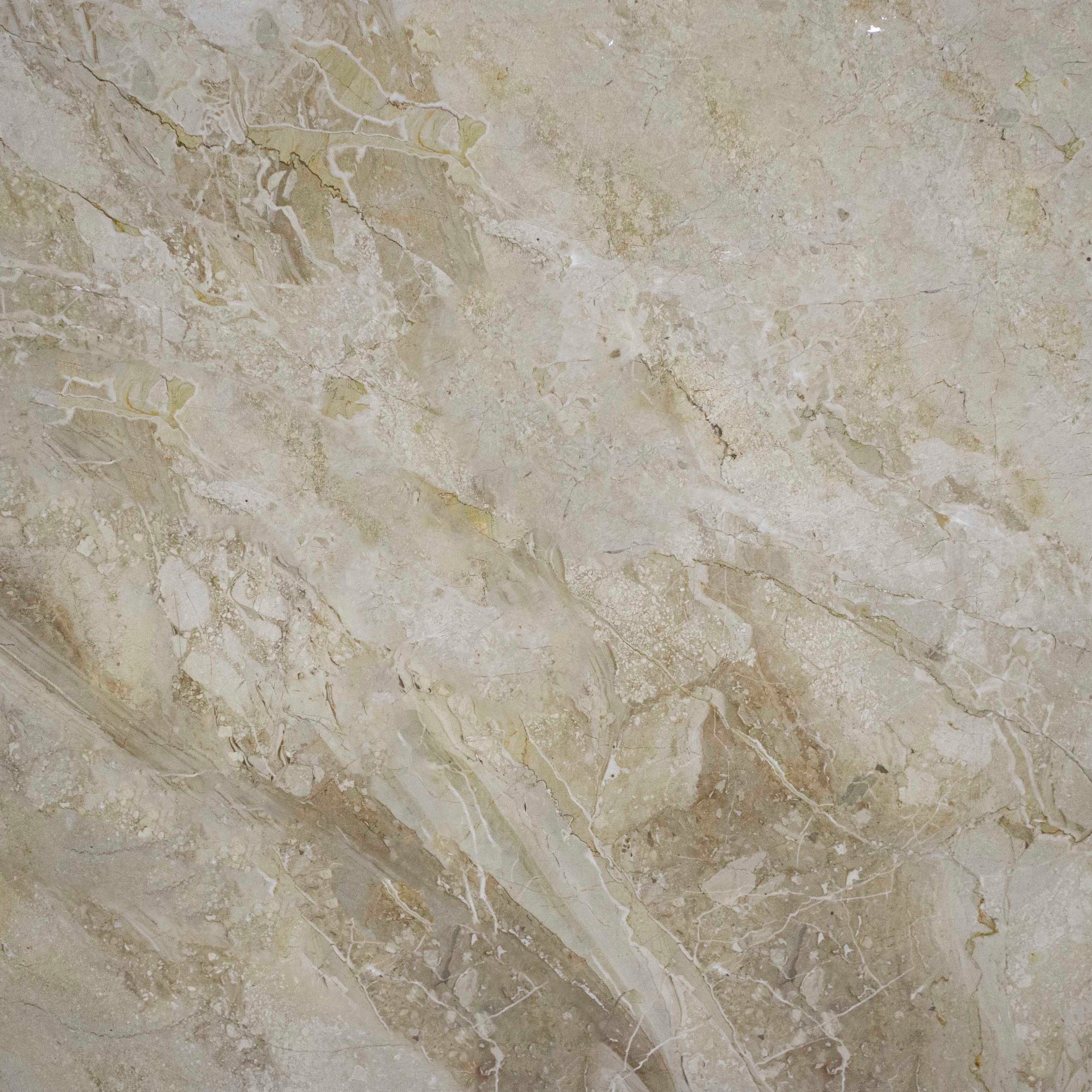 Dyna Marble & Diana Marble - Italian Elegance
