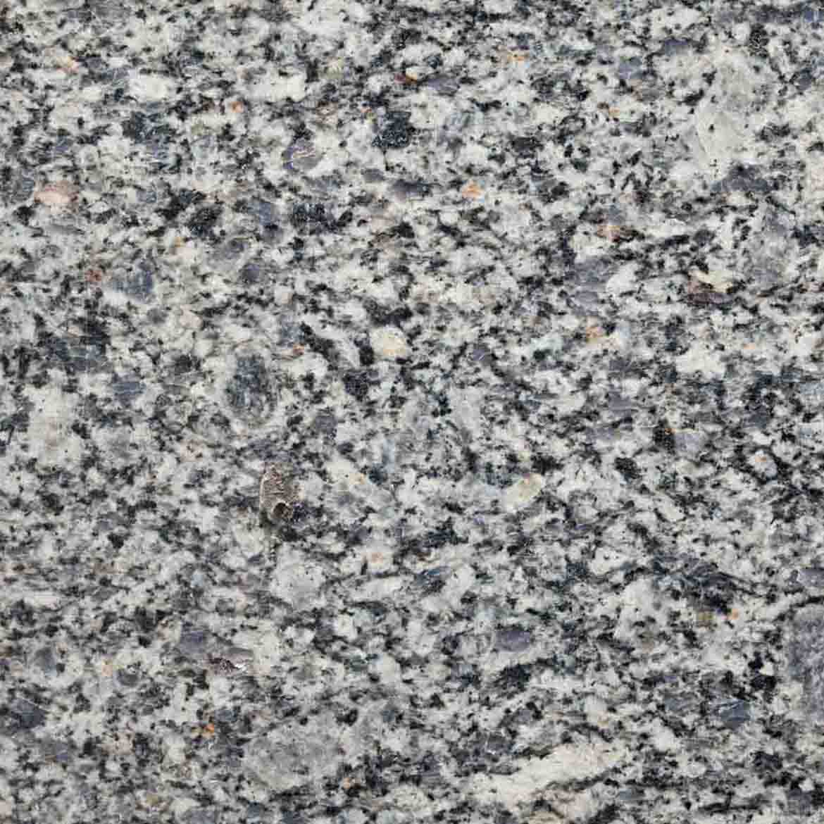 Koliwada Granite - Coastal Elegance