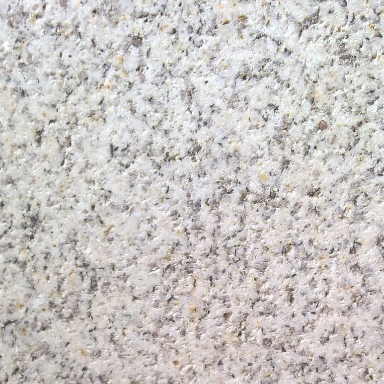Shell White Granite - Timeless Beauty